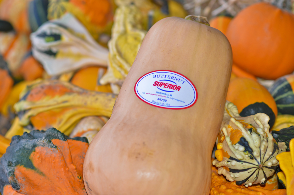 Advantage produce tracking labels - squash - Advantage Label